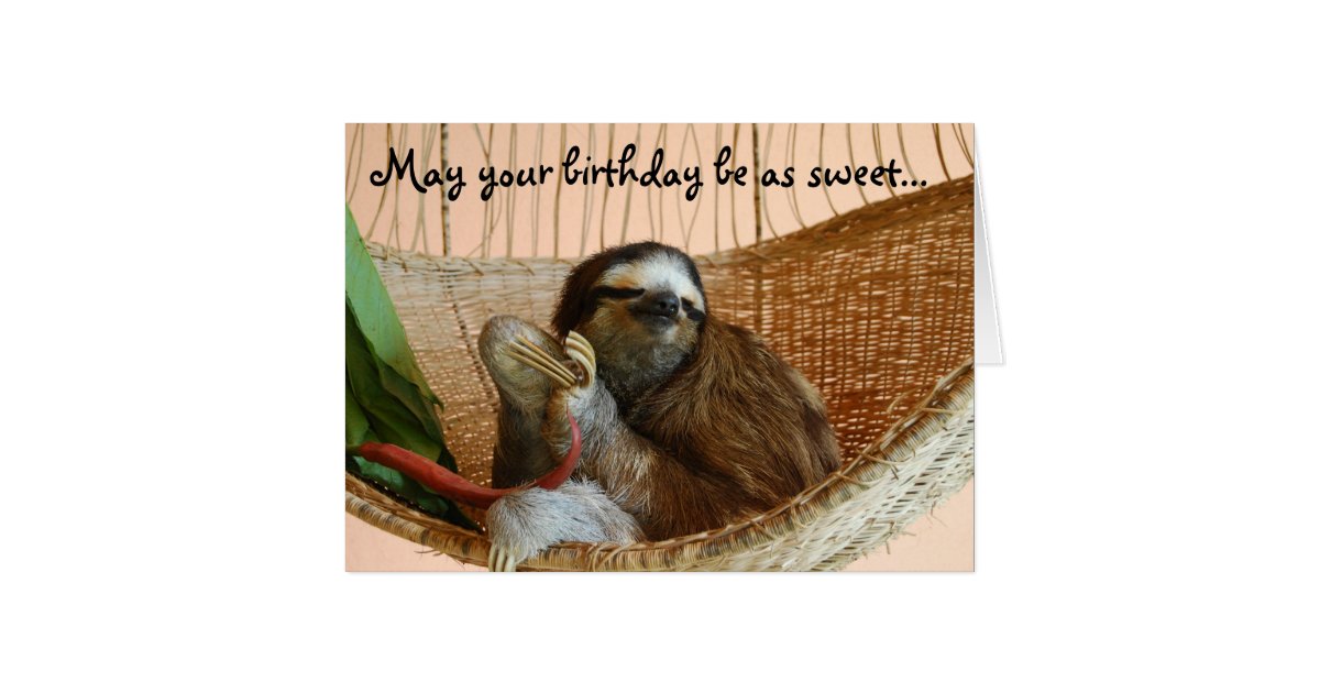 Happy Birthday Cute Sloth Card | Zazzle.com