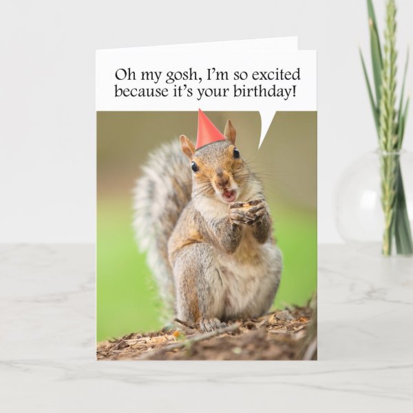 Funny Squirrel Cards | Zazzle