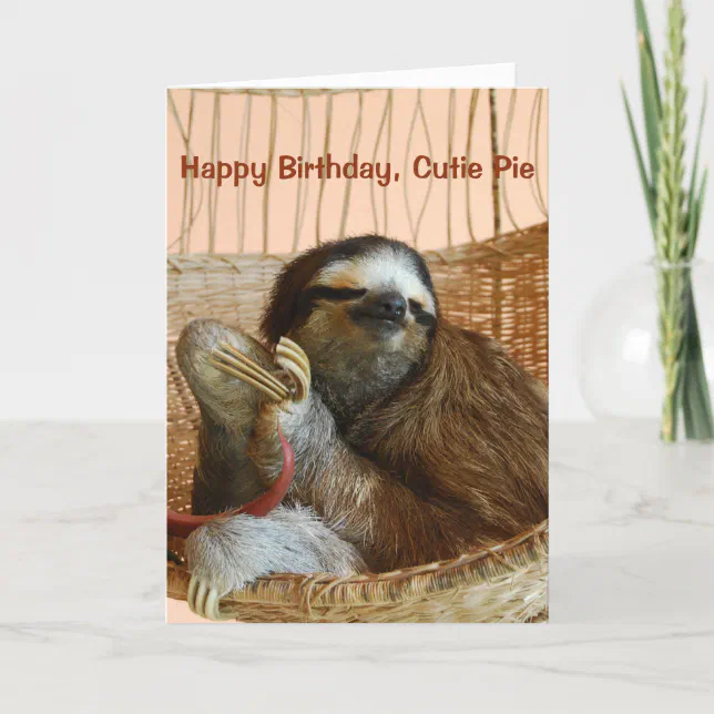 Happy Birthday Cutie Pie Sloth Card | Zazzle