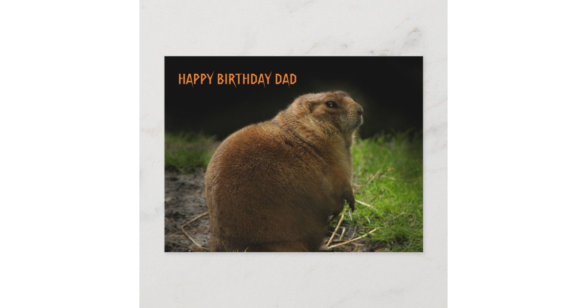 HAPPY BIRTHDAY DAD Woodchuck Groundhog Picture Postcard | Zazzle