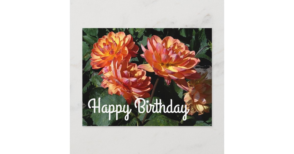 Happy Birthday Dahlia Pam Howden #1 Postcard | Zazzle