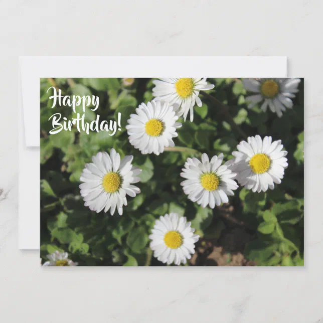 Happy Birthday Daisies Photography Card | Zazzle