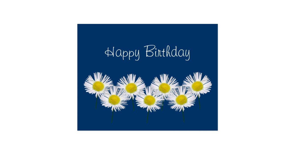 Happy Birthday Daisies Postcard | Zazzle.com