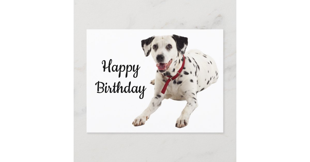 Happy Birthday Dalmatian Puppy Dog Lover Postcard | Zazzle