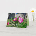 Happy Birthday Desert Rose Flowers at Sugar Mill Card | Zazzle