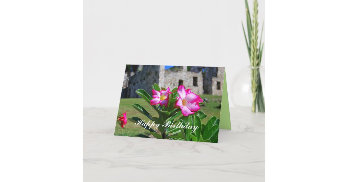 Happy Birthday Desert Rose Flowers at Sugar Mill Card | Zazzle