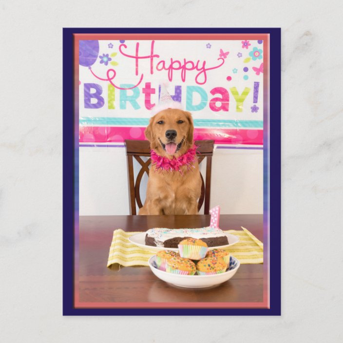 Happy Birthday Dog Party with My Dawg Invitation Postcard | Zazzle.com