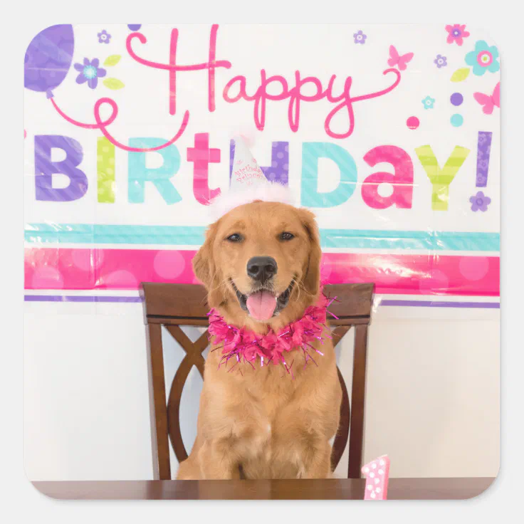 Happy Birthday Dog Party with My Dawg Square Sticker | Zazzle