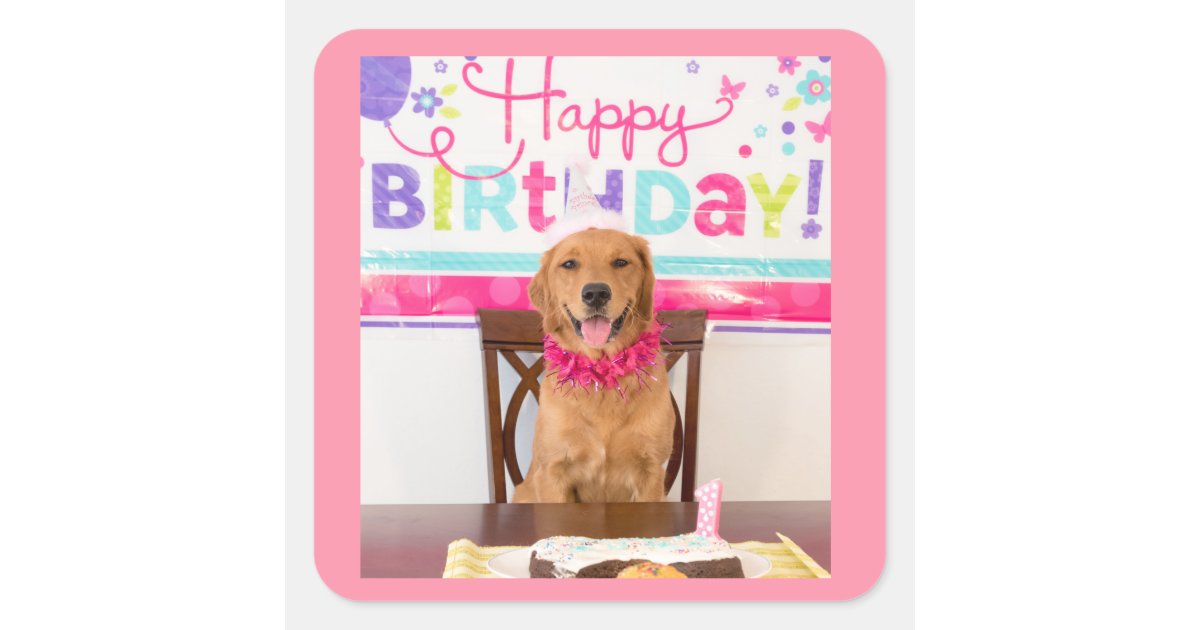 Happy Birthday Dog Party with My Dawg Square Sticker | Zazzle