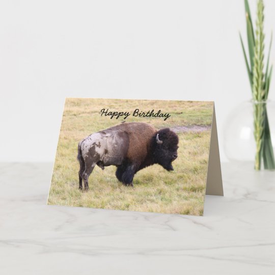 Happy Birthday, Dusty Bison Bull Humor Card | Zazzle.com