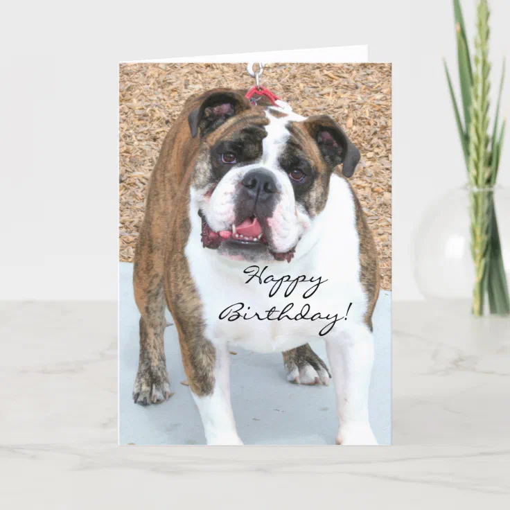 Happy Birthday English Bulldog greeting card | Zazzle