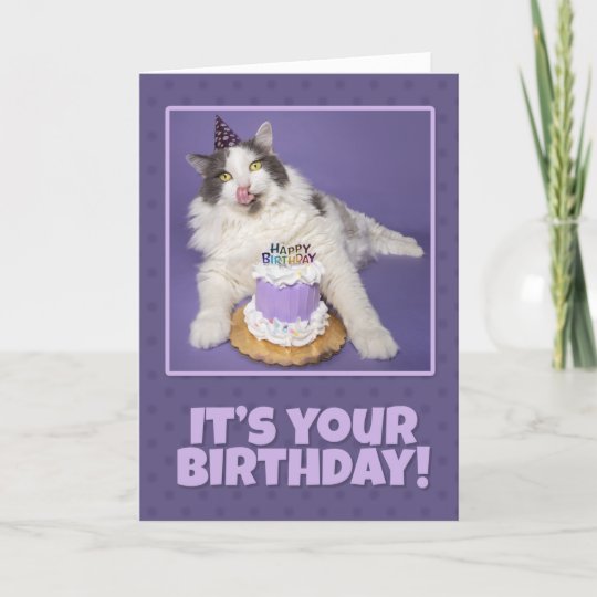 Happy Birthday Fat Cat Licking Face With Cake Holiday Card | Zazzle.com