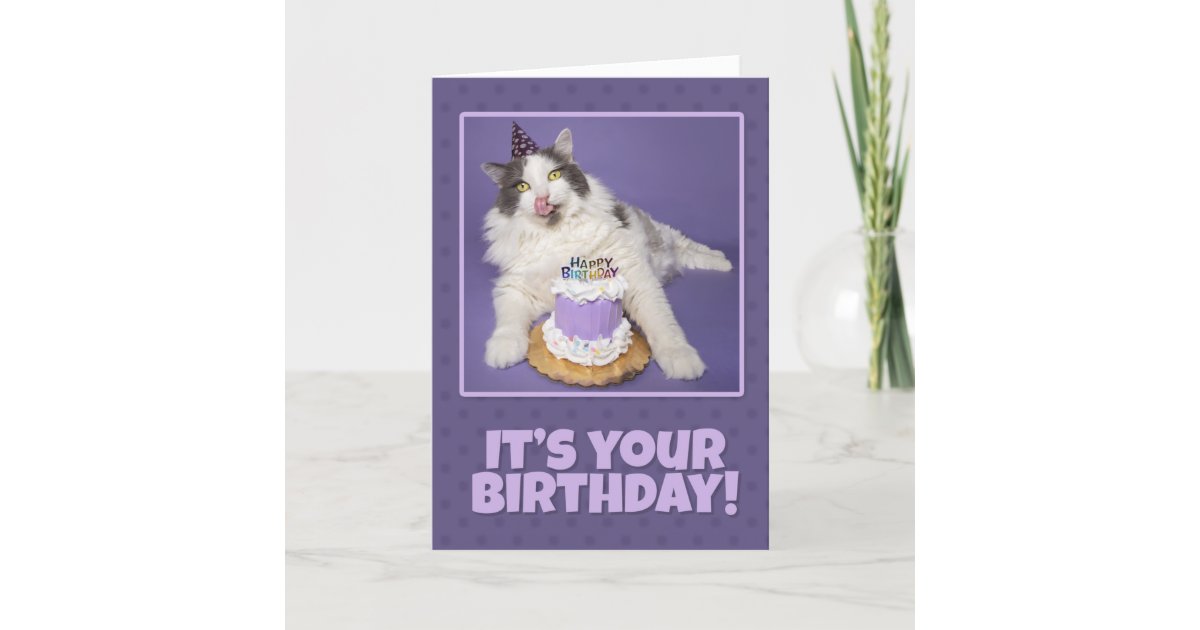 Happy Birthday Fat Cat Licking Face With Cake Holiday Card | Zazzle
