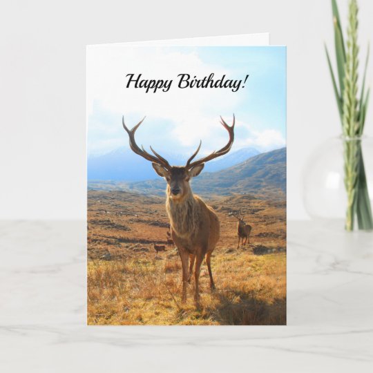 Happy Birthday for a Deer Person Card | Zazzle.com