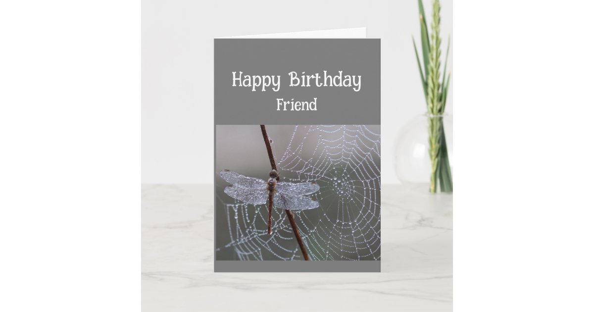 Happy Birthday Friend Dragonfly Dragonflies Card | Zazzle