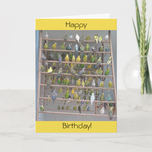 Happy Birthday from All of Us Parakeets Card | Zazzle