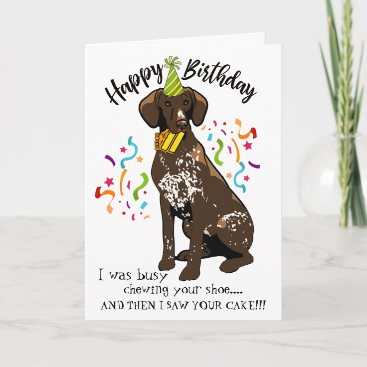 Happy Birthday from German Short Haired Pointer Card | Zazzle