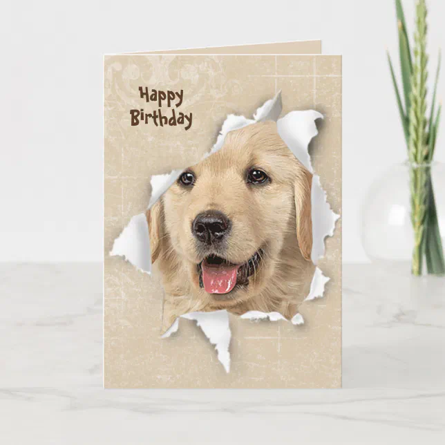 Happy Birthday from Golden Retriever Card | Zazzle