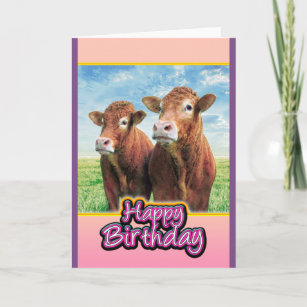 Cow Birthday Cards | Zazzle