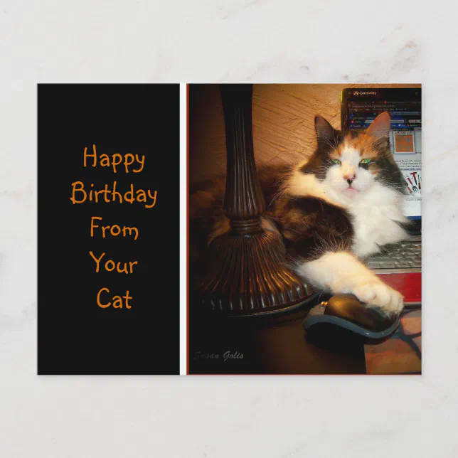 Happy Birthday From Your Cat Greeting Postcard | Zazzle