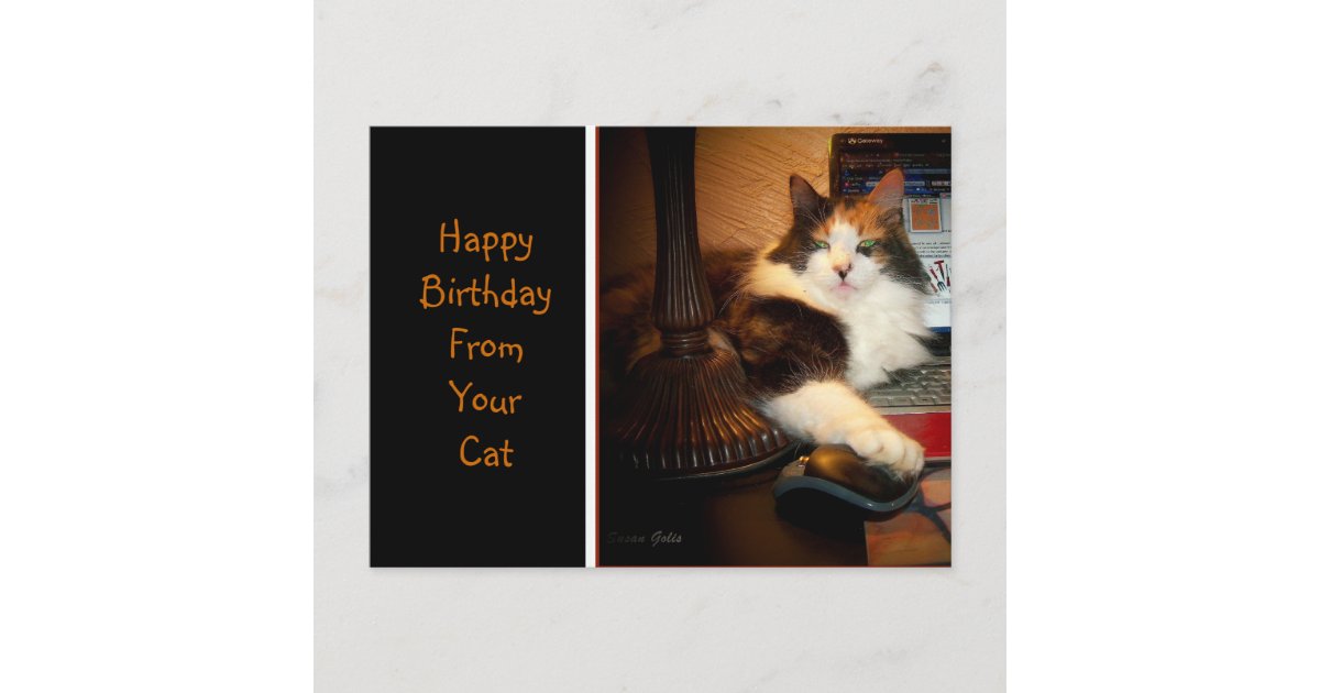 Happy Birthday From Your Cat Greeting Postcard | Zazzle