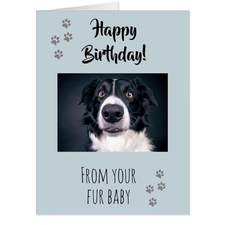 Happy Birthday from your Fur Baby Dog Cat Card | Zazzle
