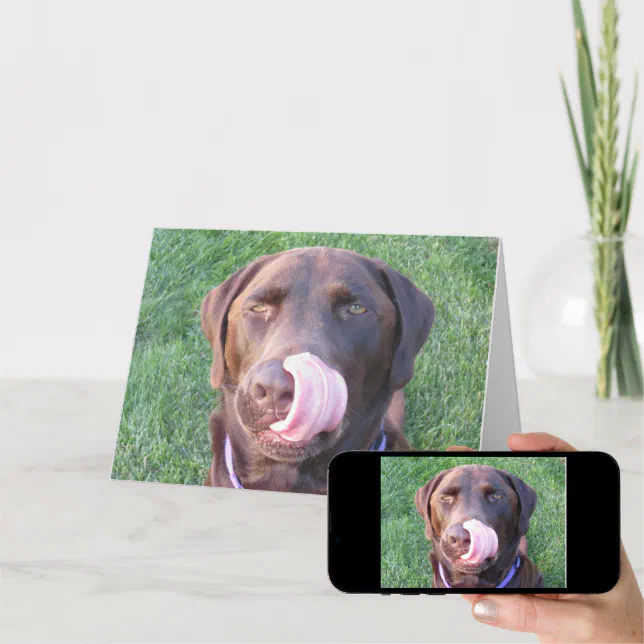 Happy Birthday FUNNY Chocolate Lab Card | Zazzle