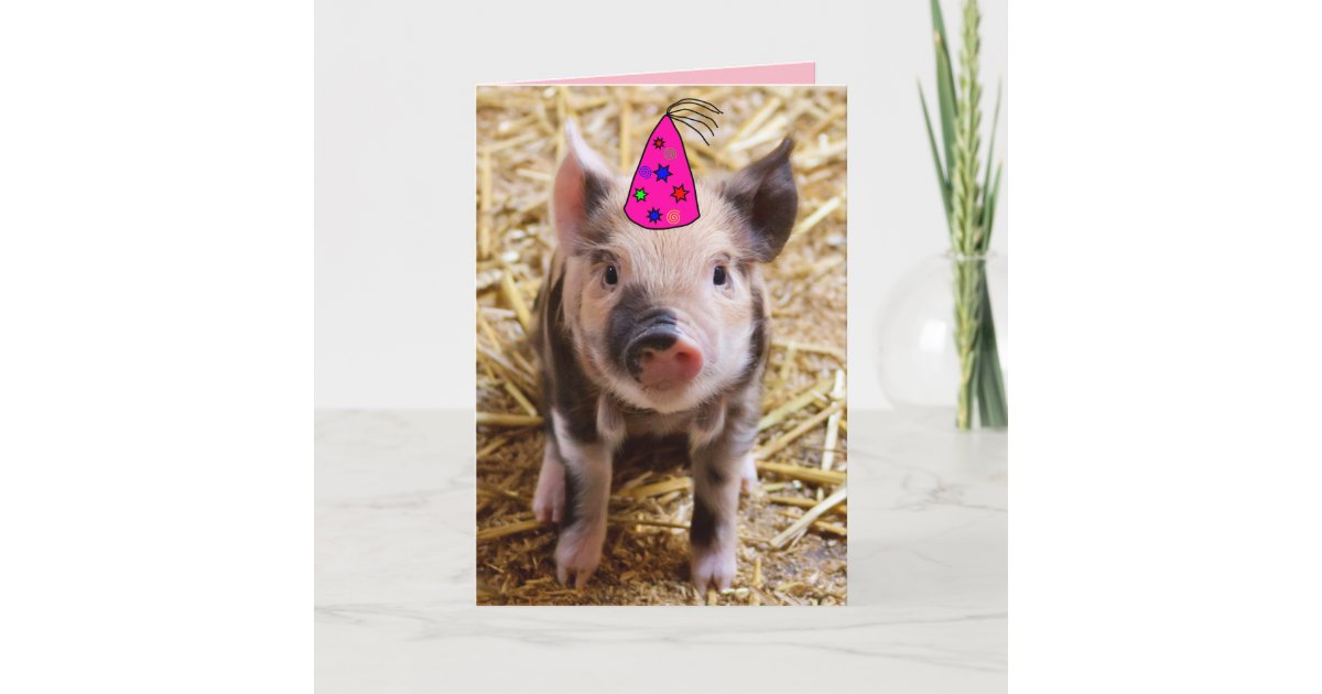 HAPPY BIRTHDAY FUNNY PIG PIGLET GREETING CARDS | Zazzle