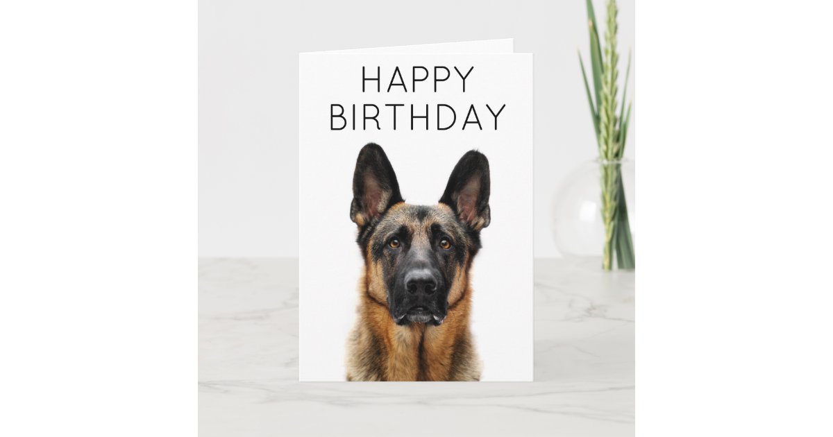 Happy Birthday | German Shepherd Card | Zazzle