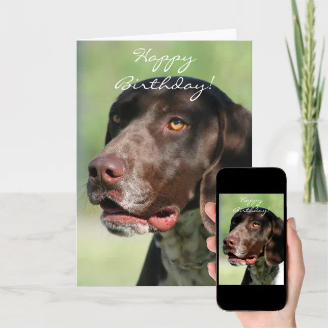 Happy Birthday German Shorthaired Pointer Card | Zazzle