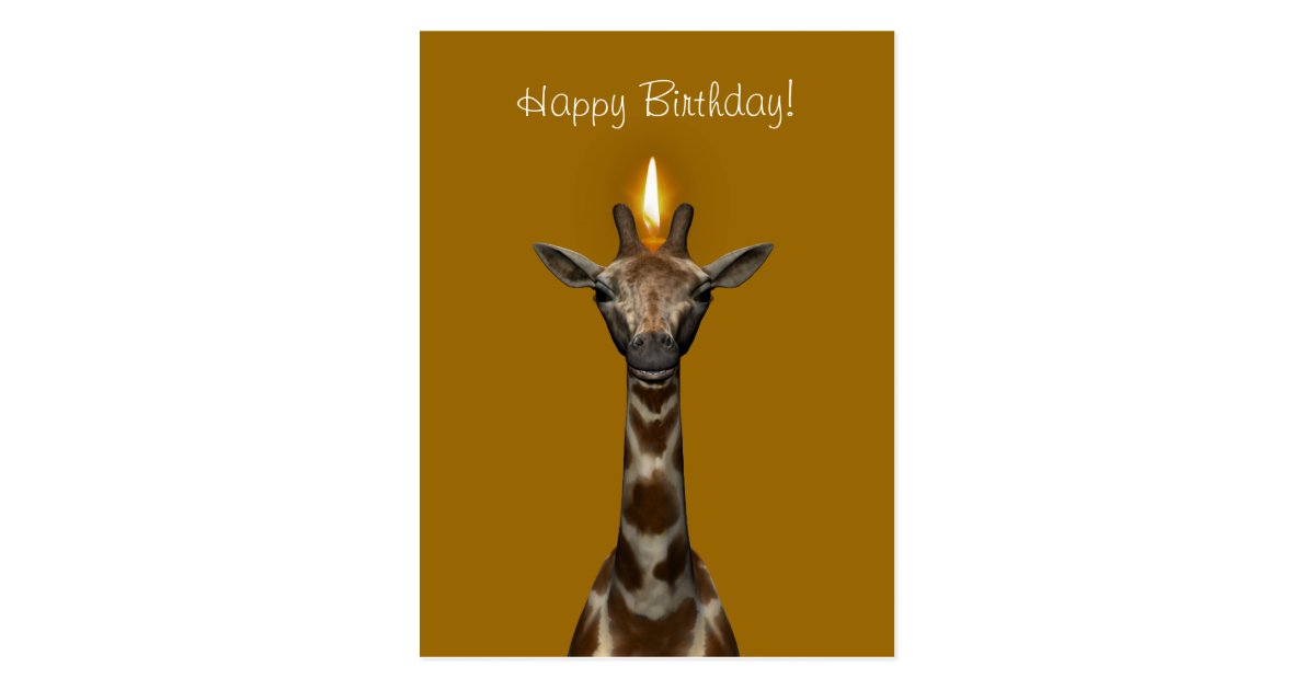 Happy Birthday Giraffe Postcard | Zazzle.com