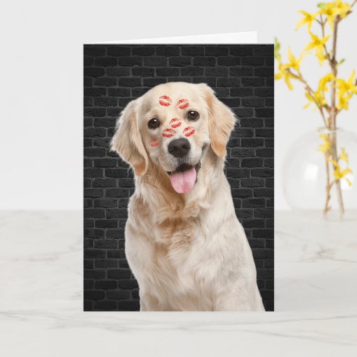 Happy Birthday Golden Retriever Card | Zazzle
