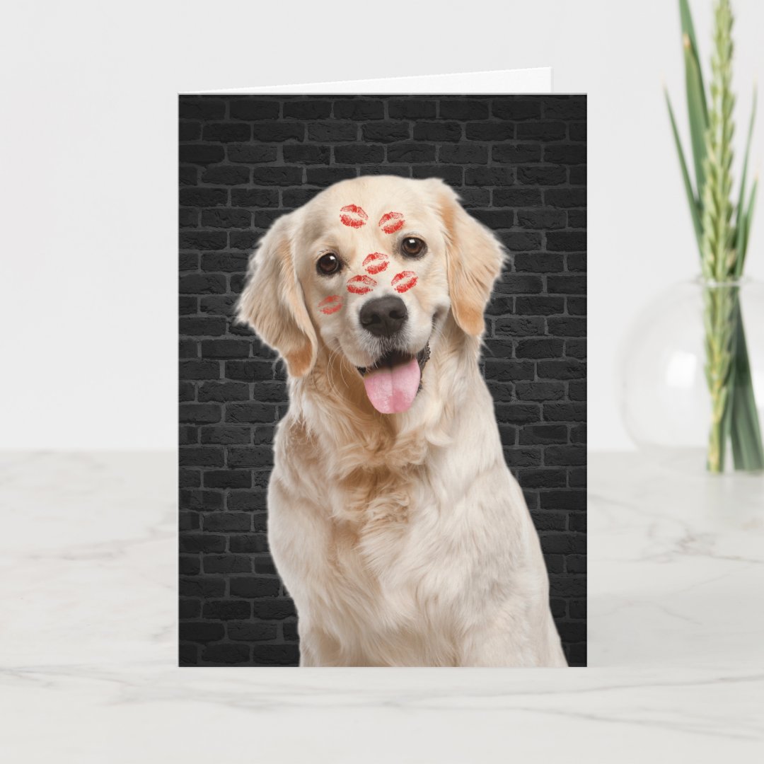 Happy Birthday Golden Retriever Card | Zazzle