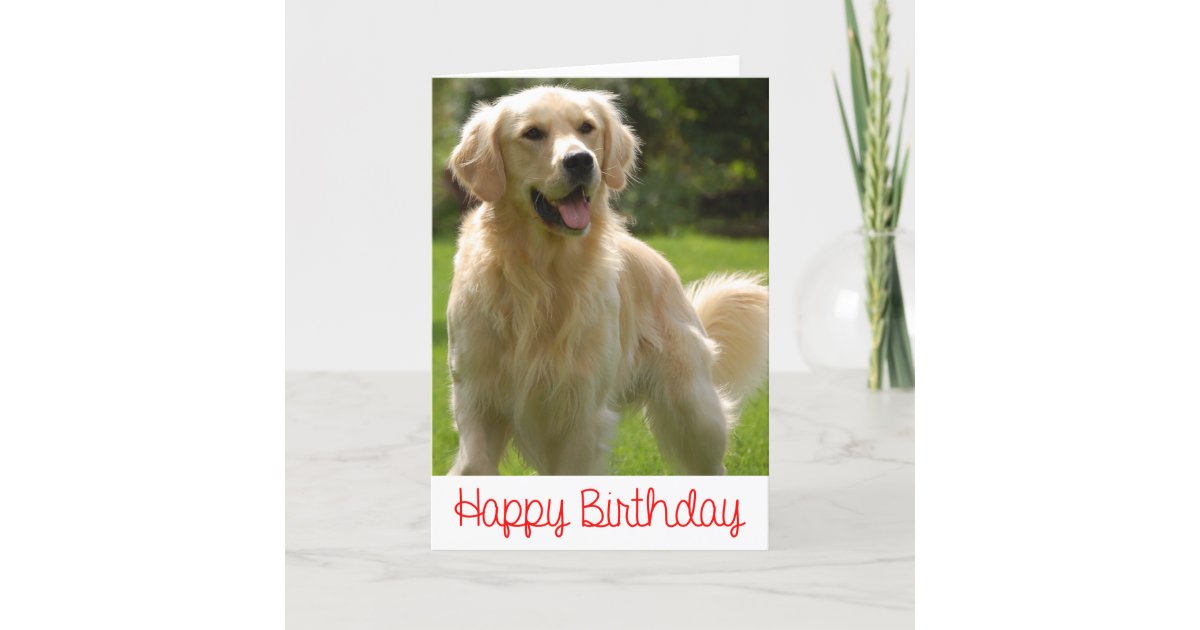 Happy Birthday Golden Retriever Puppy Card | Zazzle