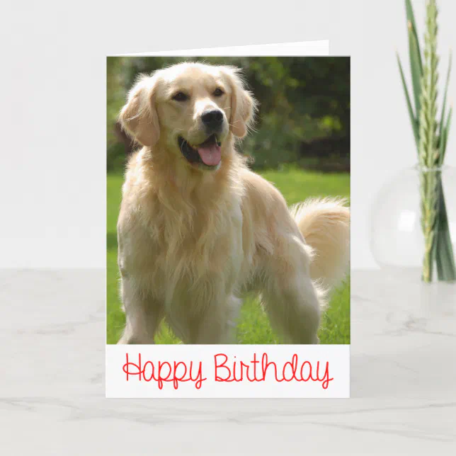 Happy Birthday Golden Retriever Puppy Card | Zazzle