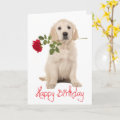 Happy Birthday Golden Retriever Puppy Dog Card | Zazzle