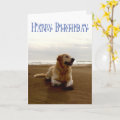 Happy Birthday Golden Retriever Puppy Dog Card | Zazzle