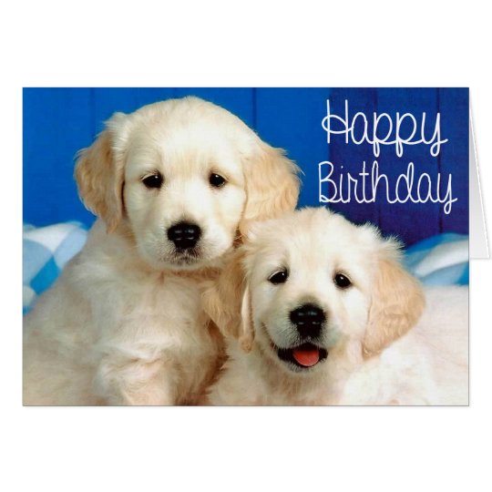 Happy Birthday Golden Retriever Puppy Dog Card | Zazzle.com