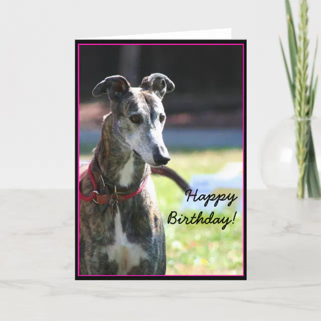 Happy Birthday Greyhound greeting card | Zazzle