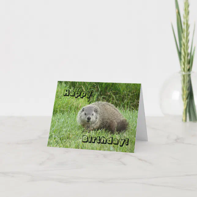 Happy Birthday groundhog Card | Zazzle