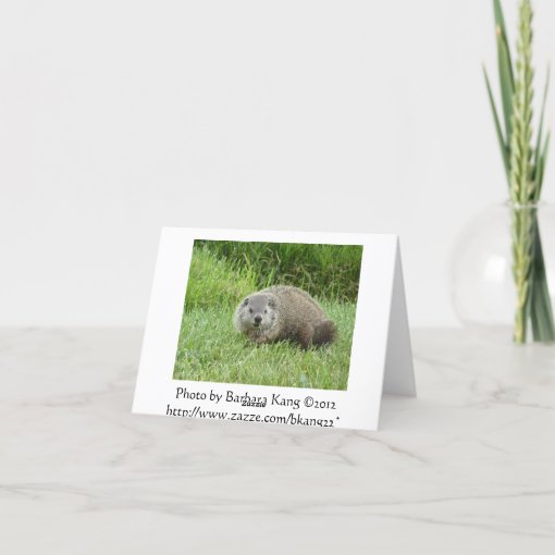 Happy Birthday groundhog Card | Zazzle