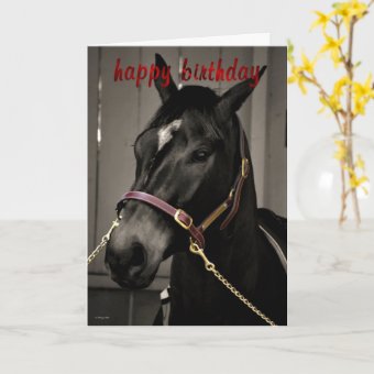 Happy Birthday Horse Birthday card horse lovers | Zazzle