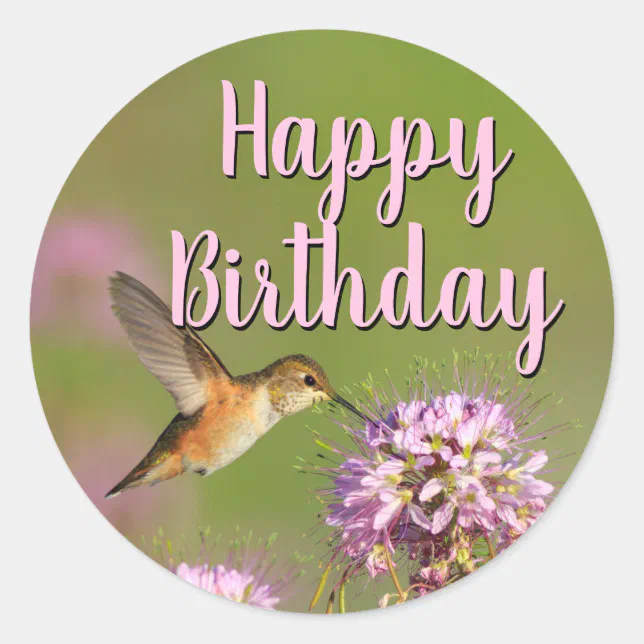Happy Birthday Hummingbird Classic Round Sticker | Zazzle