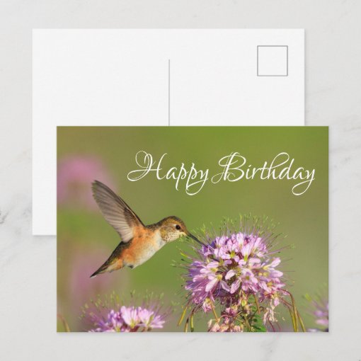 Happy Birthday Hummingbird Postcard | Zazzle