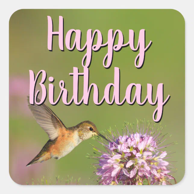 Happy Birthday Hummingbird Square Sticker | Zazzle