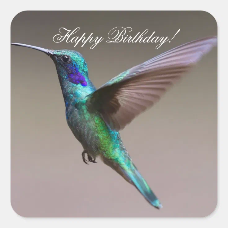 Happy Birthday Hummingbird Square Sticker | Zazzle