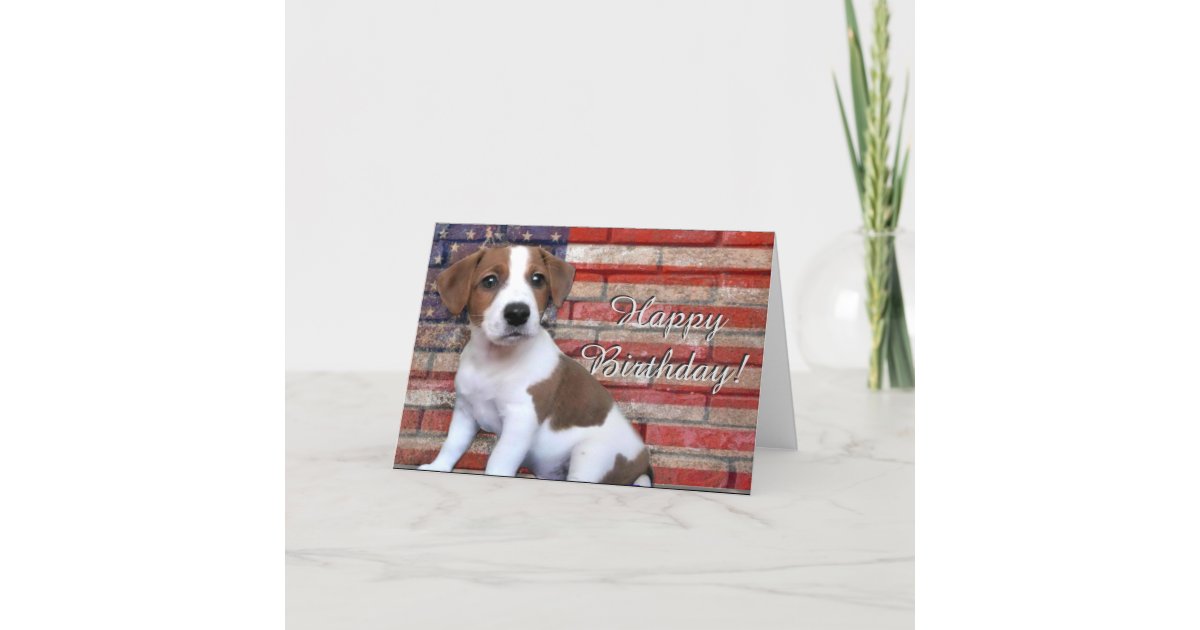 Happy Birthday Jack Russell Terrier greeting card | Zazzle