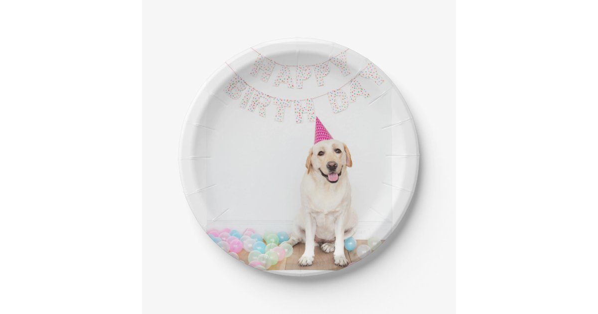 Happy Birthday Lab Plate | Zazzle