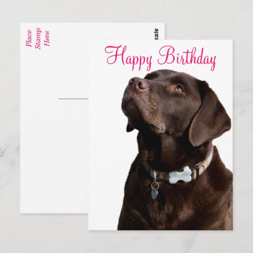 Happy Birthday Labrador Retriever Dog Post Card | Zazzle