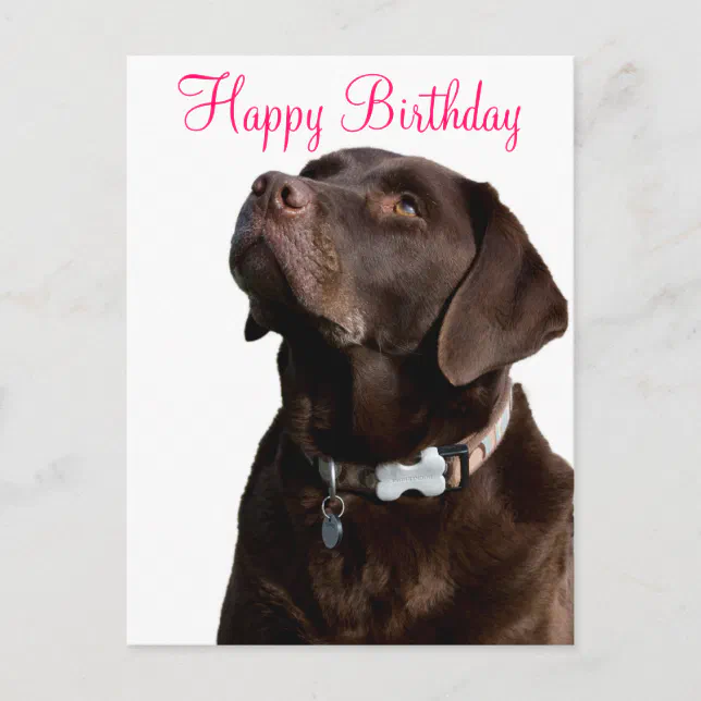 Happy Birthday Labrador Retriever Dog Post Card | Zazzle
